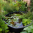 Creating a Mini Wildlife Pond: A Small but Impactful Addition to Your ...